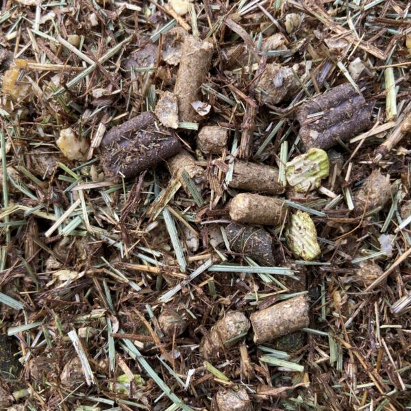 Chestnut Horse Feeds - Natural Horse Feeds - Bulk Bins AVailable