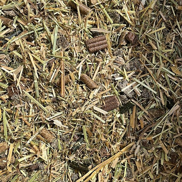 Chestnut Horse Feeds - Natural Horse Feeds - Bulk Bins AVailable