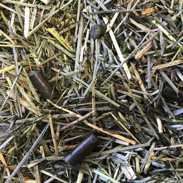 Chestnut Horse Feeds - Natural Horse Feeds - Bulk Bins AVailable